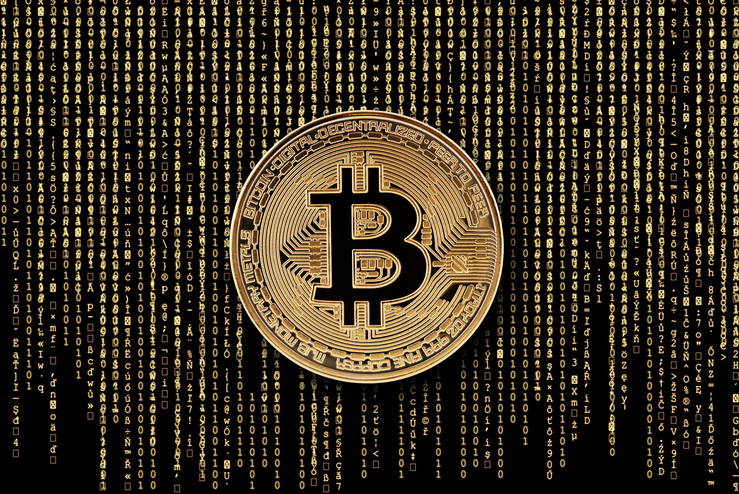 Bitcoin is predicted to grow to $100,000 in 2024 - NoWorries